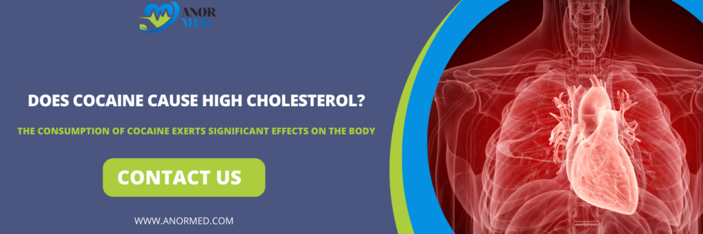 Does Cocaine Cause High Cholesterol? | Anormed UK